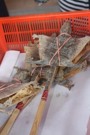 Dried/flying Tokay Gecko - Specially Dried Tokay Gecko In Vietnam - Buy ...