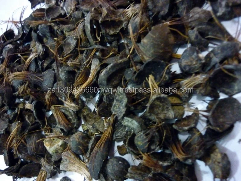 Cheap Palm Kernel Shell Wholesale , Low Price !| Alibaba.com
