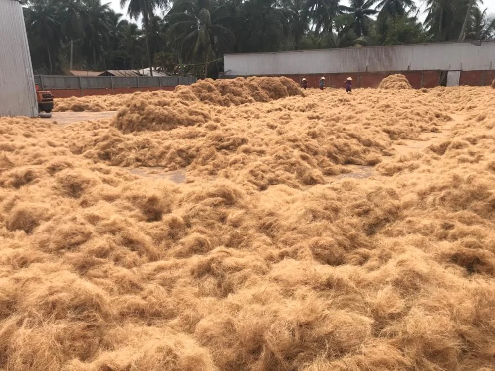 Coconut Coir Fiber White(golden Brown) And Brown /// Made From 100 ...