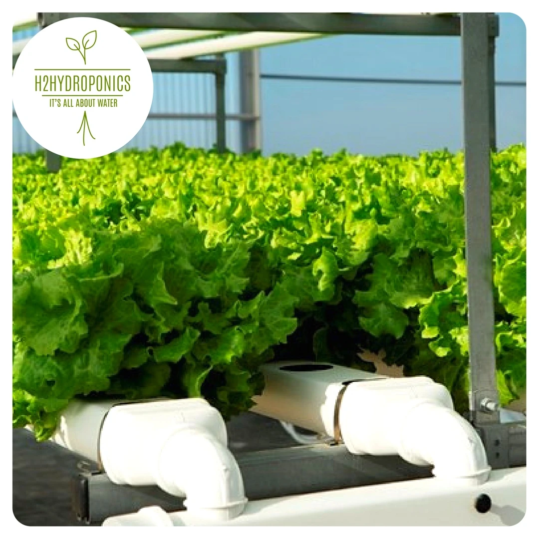 Hydroponic Trays And Nft Channels For Hydroponic Systems - Buy ...