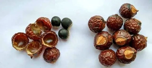 Soap Nuts - Natural & Biodegradable Laundry Cleaner