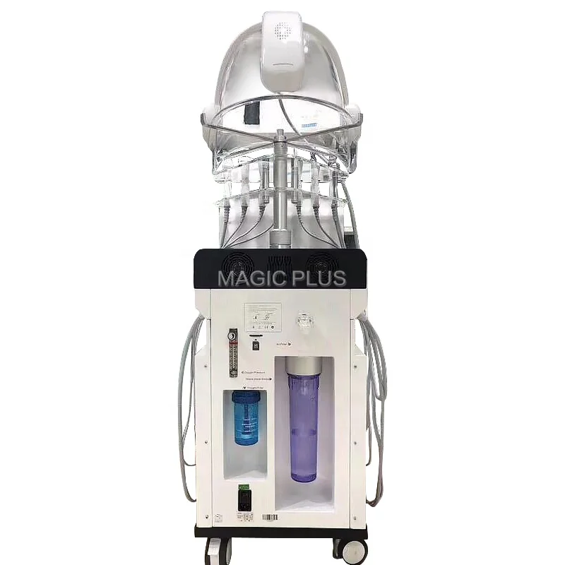 High Quality Multifunctional Vacuum & Spray Facial Machine - Buy Vacuum ...