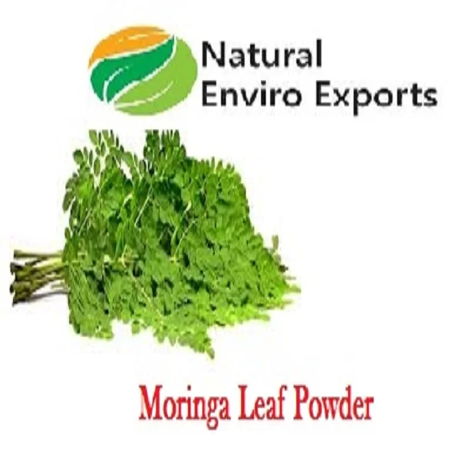 Moringa Leaf Powder - 100 % Export Quality Manufactured In India - Buy ...