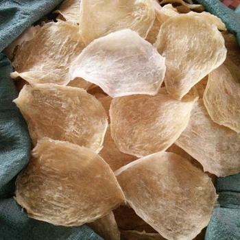 Croaker Fish Maw / Dried Fish Bladder / Holiday - Buy Datina Fish Maw ...