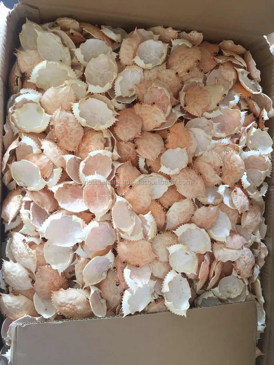 Hot Hot!! Dried Crab Shell With High Quality And Competitive Price For ...
