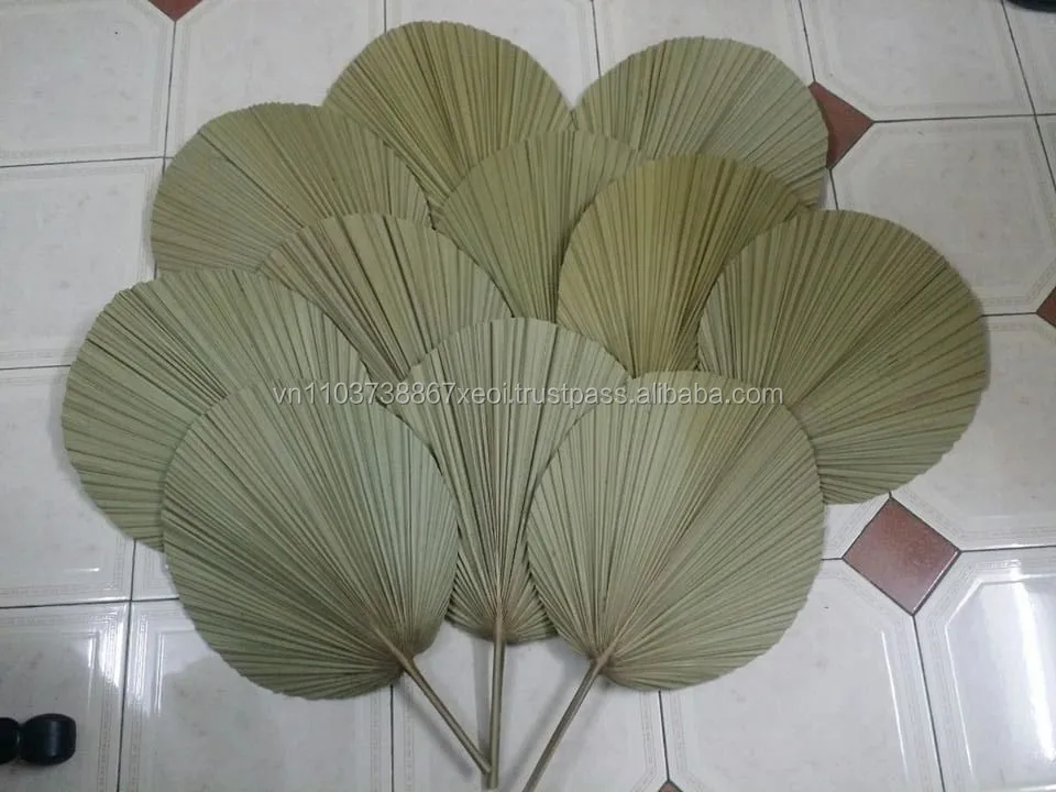 Bamboo Hand Fans/straw Hand Fans - Buy Straw Handfan,Straw Handfan,Hand ...
