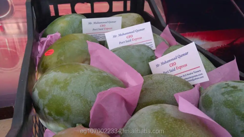 Fresh Mango Price,Mango Fruit - Buy Mango Egypt,Indian Mango,Alphonse ...