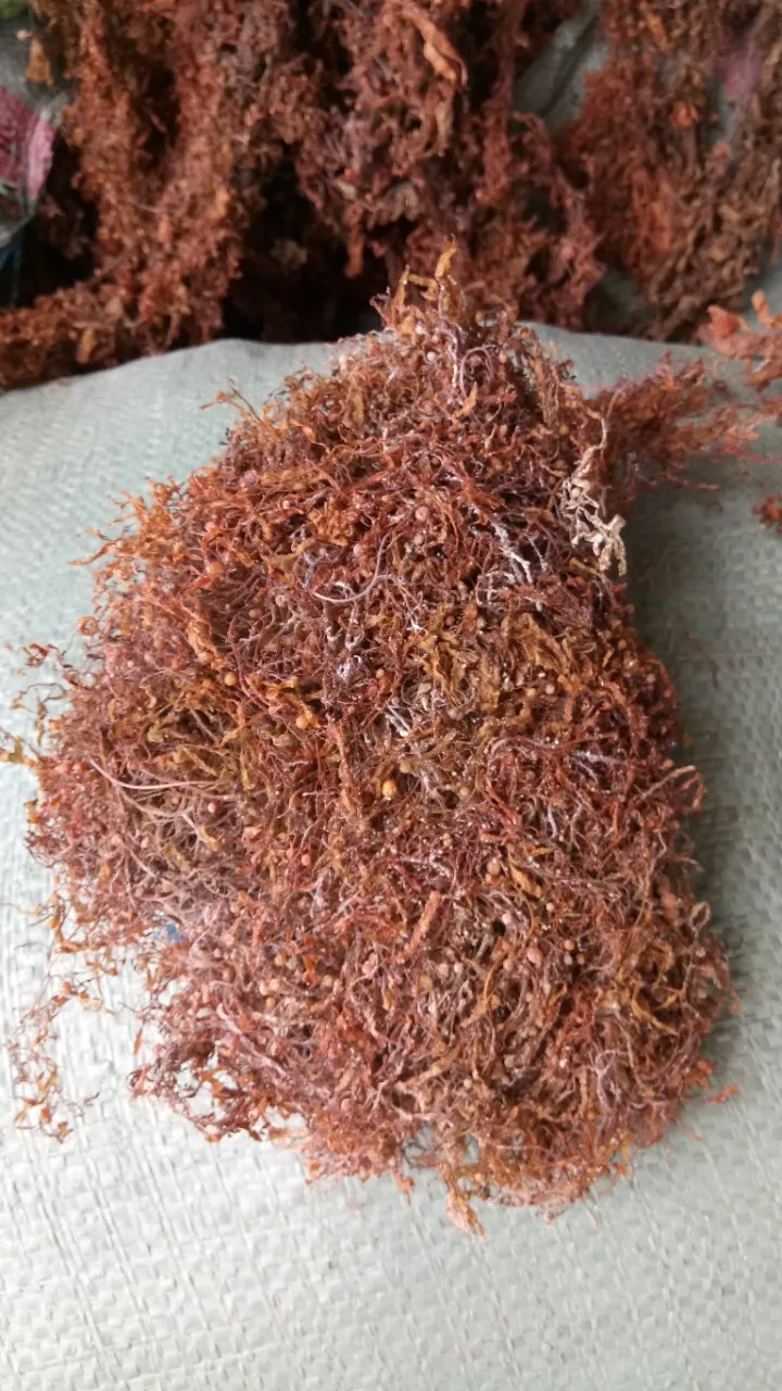 Porphyra Seaweed/ Dried Purple Laver Seaweed/ Laver Flakes - Buy ...