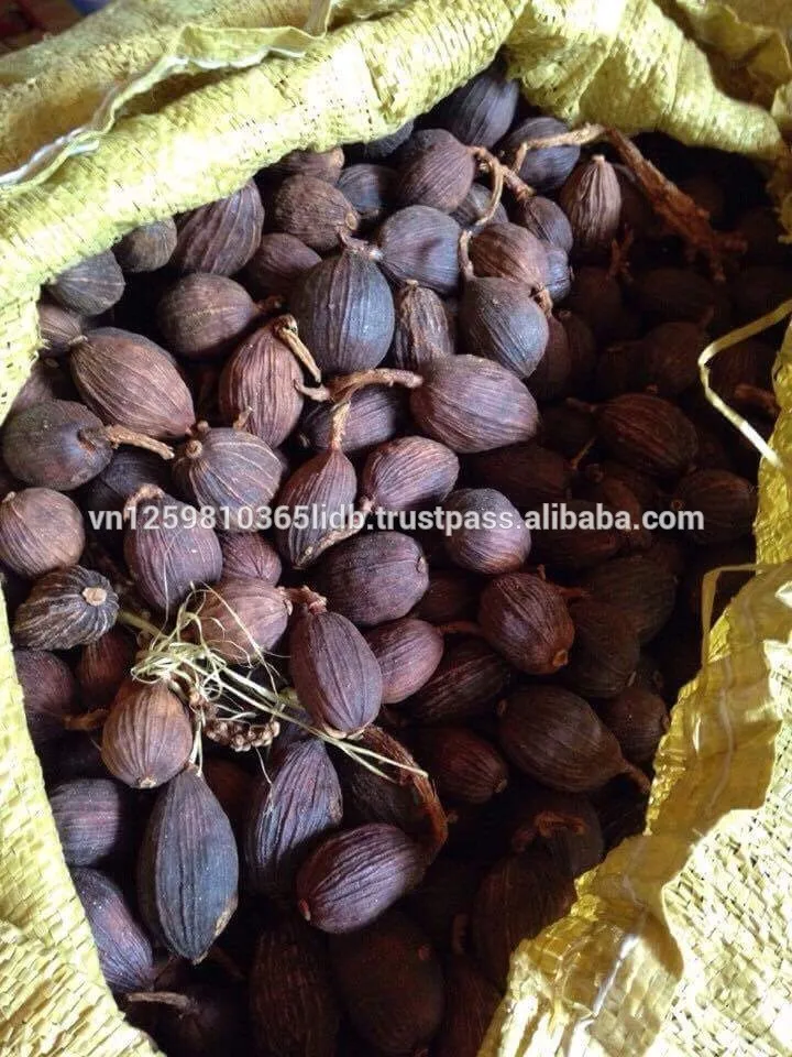 Cardamomo Negro De Vietnam,Cardamomo Grande,Cardamomo Seco - Buy ...