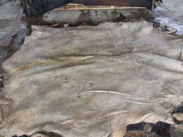 Wholesale Custom Private Label Raw Wet Salted Cattle Hides Industrial ...