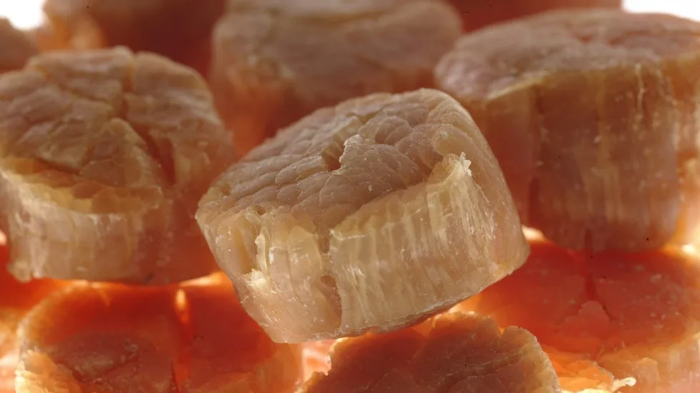 Frozen Hokkaido Scallop/ Dried Scallop / Dried Hokkaido Scallop ...