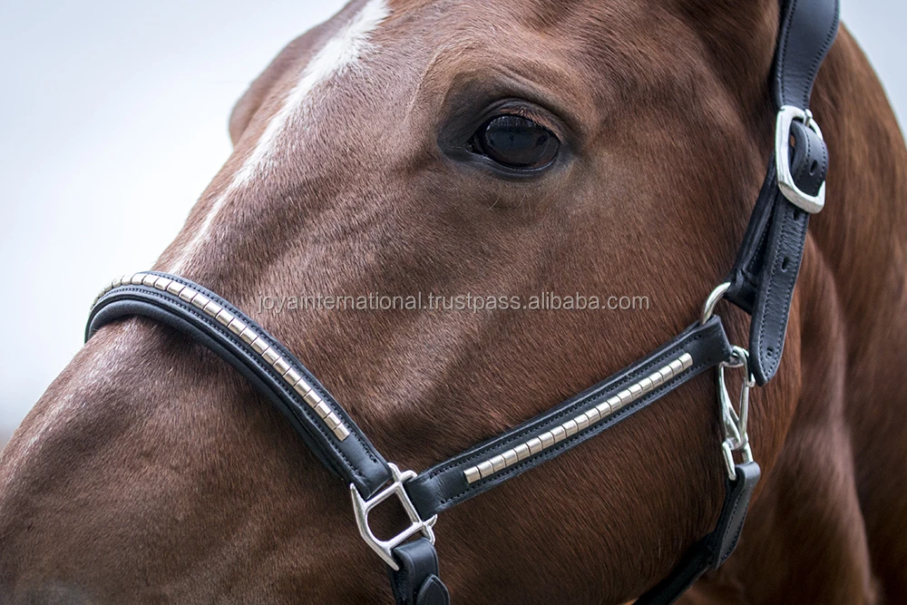 Fancy Stud Halter,Horse Halters - Leather,Leather Halters - Horse ...