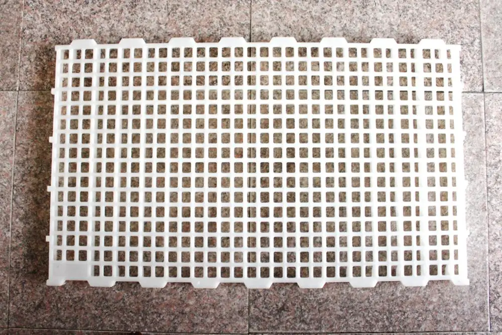 Goldenest New Poultry Equipment Pp Slats Floor For Broiler Breeder ...