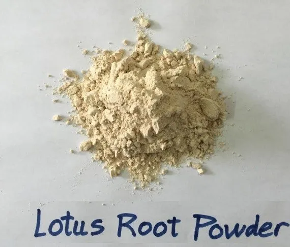 High Quality & Natural Lotus Root,Lotus Root Powder / Nelumbo Nucifera ...