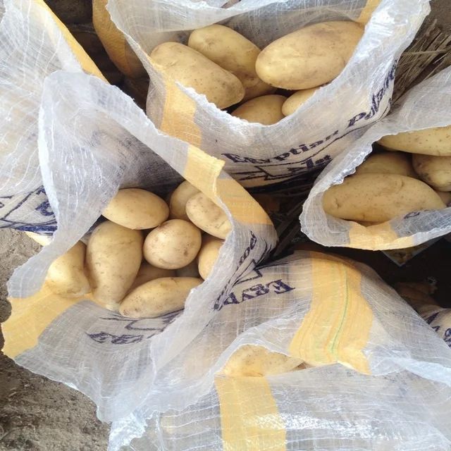 Fresh Potato In Mesh Bag Or Carton Packing For Sale - Buy Fresh ...