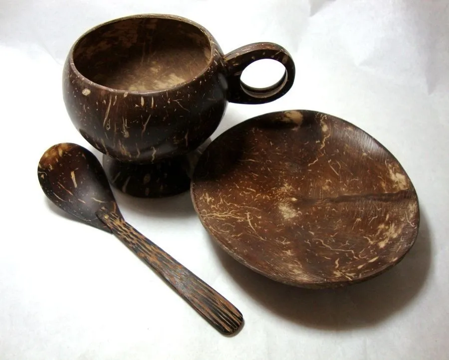 Ecofriendly Utensil Coconut Shell Spoon With Bowls Handmade Wholesale ...