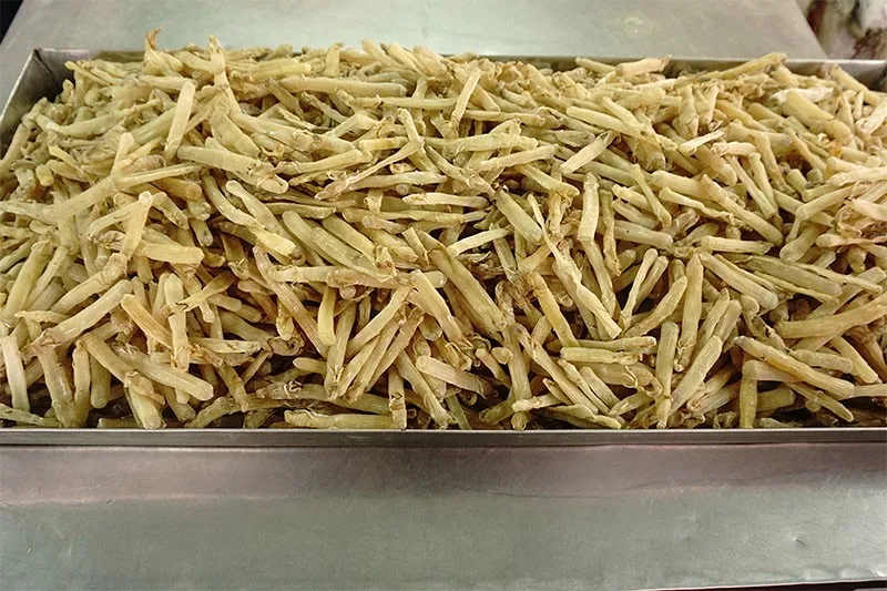 Vietnamese Dried Sipunculus Nudus - Live Bait Advantage