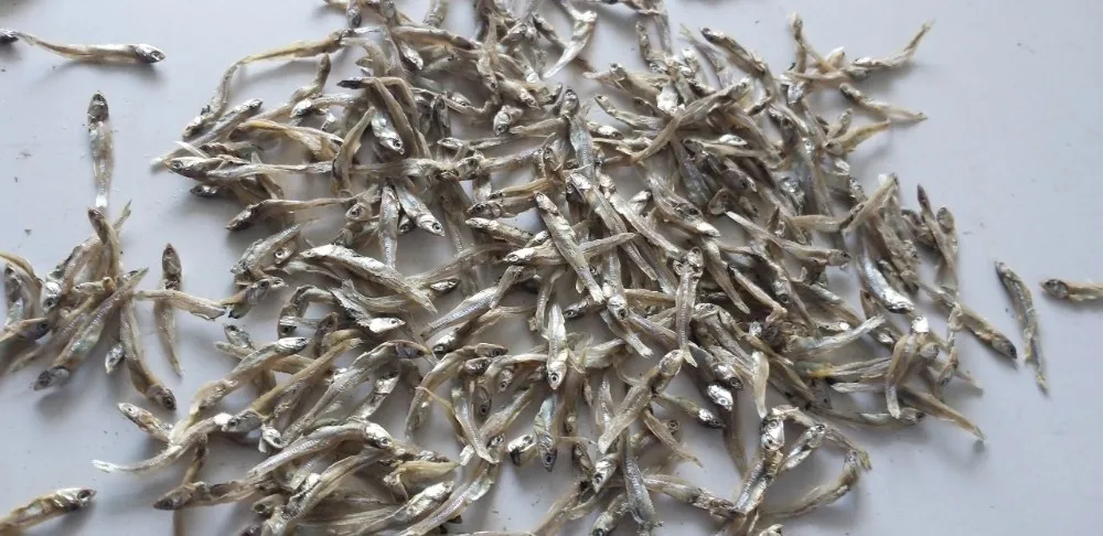 Dry Sprats/dry Silver Anchovy Export to Colombo - VILACONIC