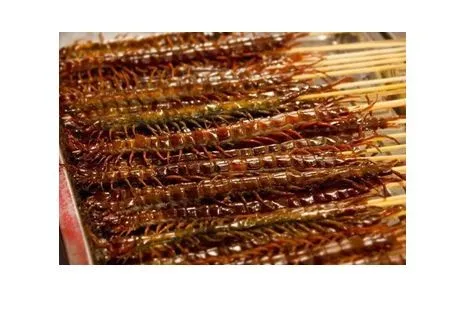 Vietnam Supplier Dried Centipede Cheap Price And High Quality Whatsapp ...