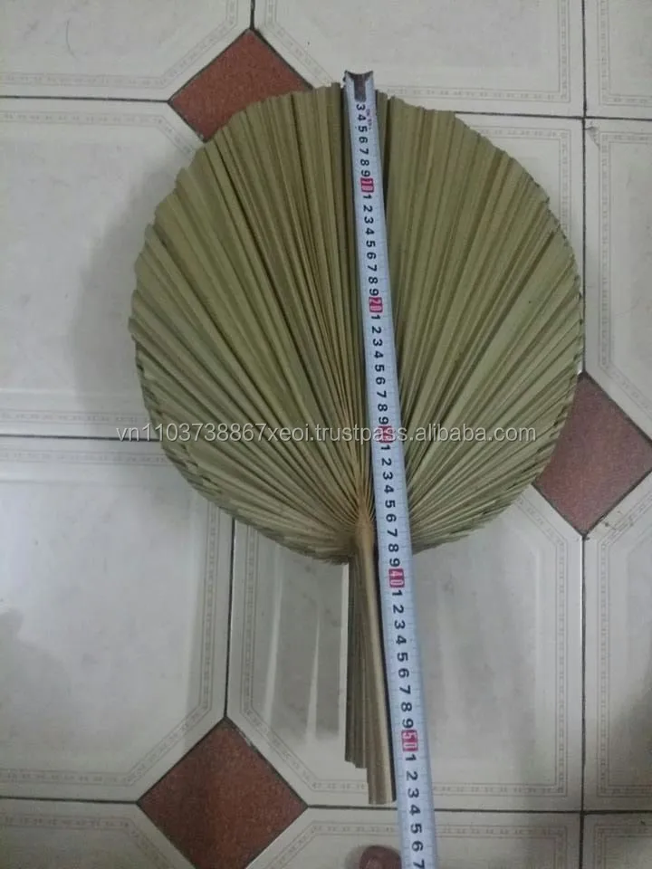 Bamboo Hand Fans/straw Hand Fans - Buy Straw Handfan,Straw Handfan,Hand ...