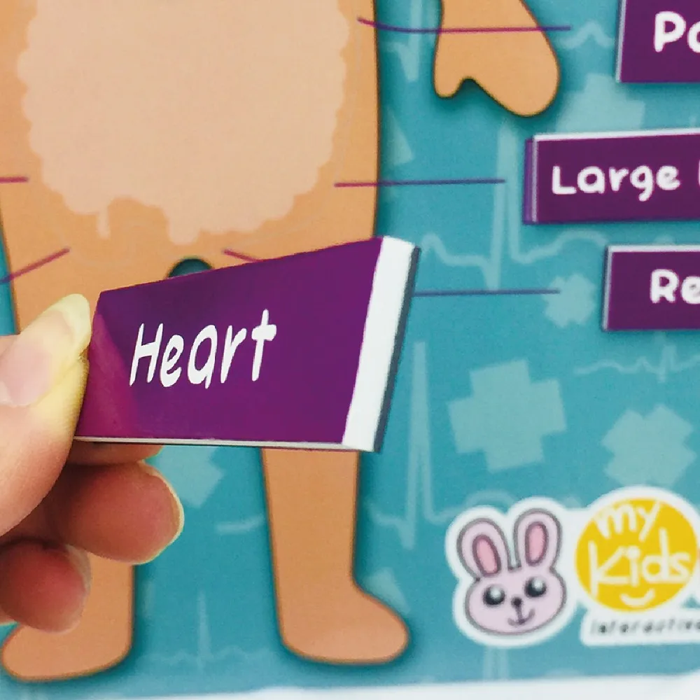 Oem Promotion Blue Wall Hanging Educational Magnetic Board Forkids Body ...