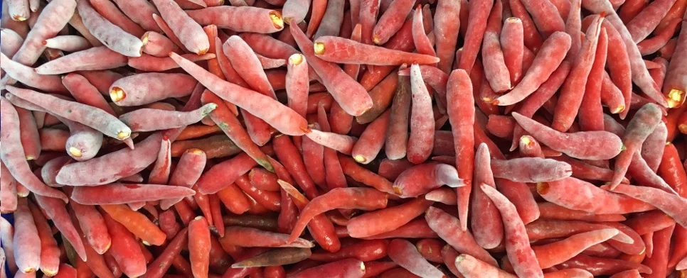 Frozen Red Chili Stem or Stemless - KME Quality