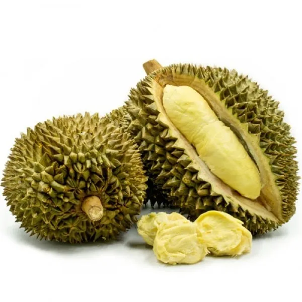 FRESH DURIAN RI6 /FREEZE DRIED DURIAN/DURIAN PASTE| Alibaba.com