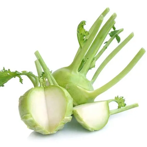 Fresh Green Kohlrabi from Vietnam - Navilu Kosu | Common Cultivation ...