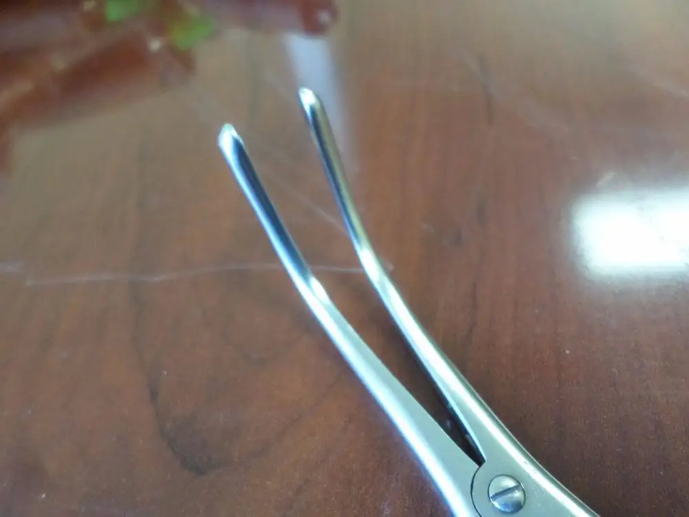 Holco Trousseau Jackson Tracheal Dilator/ent Surgical/orthopedic ...