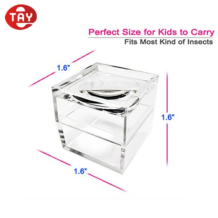 Acrylic Magnifier - Clear Acrylic Box with Magnifying Lid