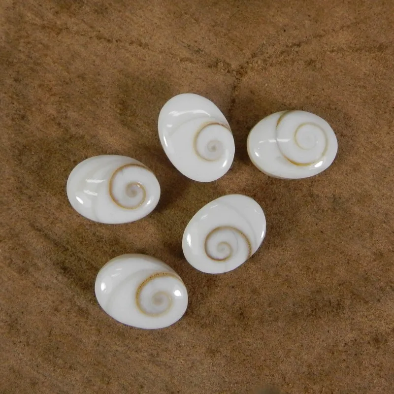 Natural Shiva Eye Shell Gemstone 16x12mm Oval Cabochon Jewelry Setting ...