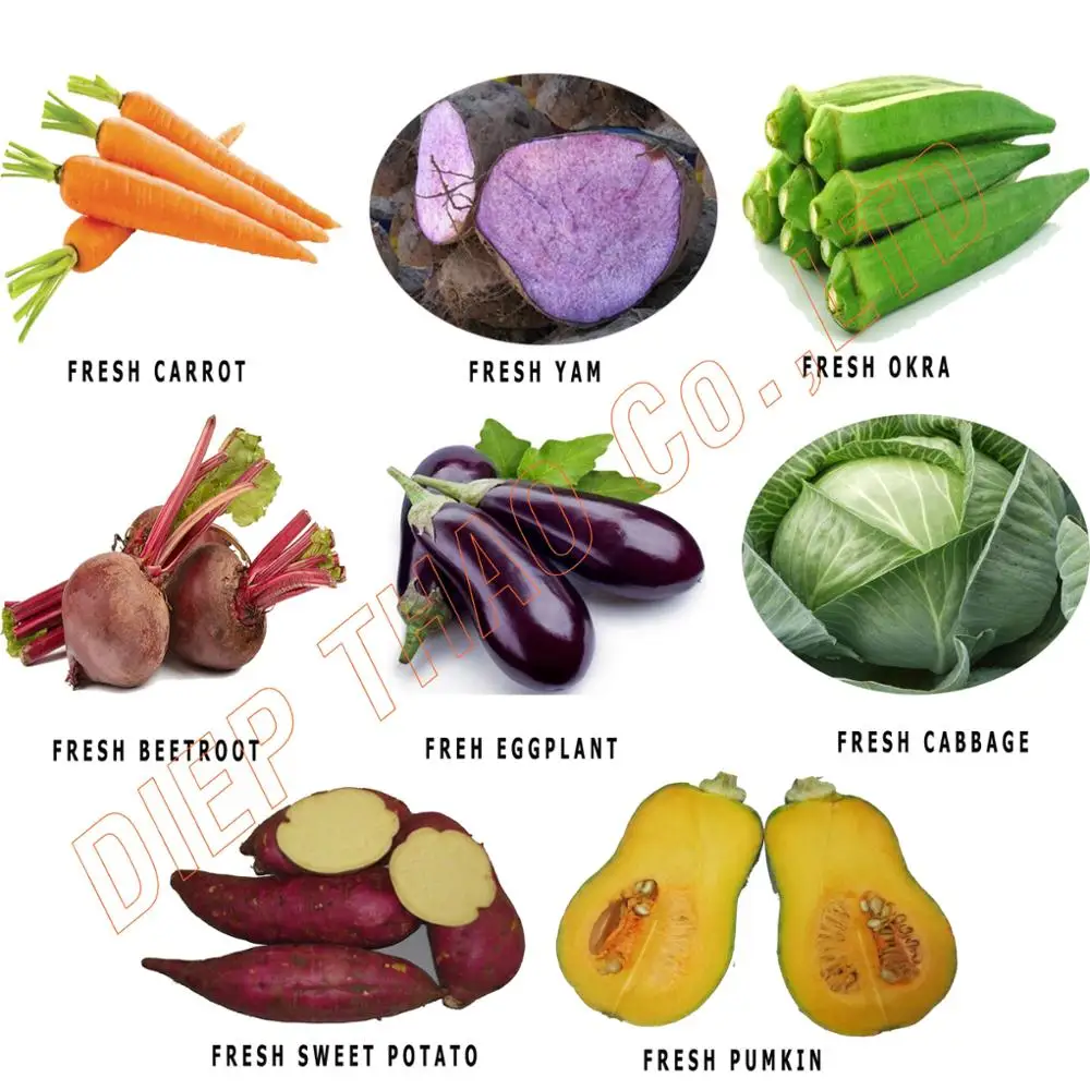 Fresh Taro/ Best Price Fresh Taro Root - Buy Taro Powder,Fresh Taro ...