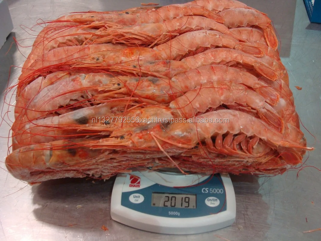 Frozen Red Shrimp Pud Buy Raw Frozen Pud Shrimp Argentina Red Shrimps