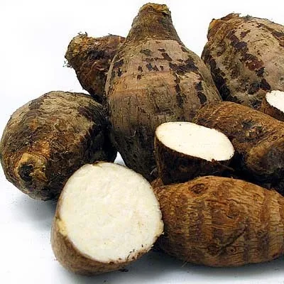 The Best Price For Fresh Taro- Frozen Taro With High Quality 2021 +84 ...