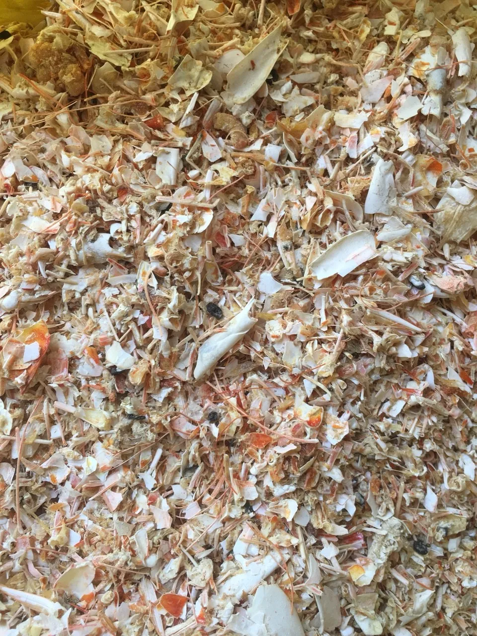 Shrimp Shell Powder - Top Grade Dried Shrimp Shell for Feed