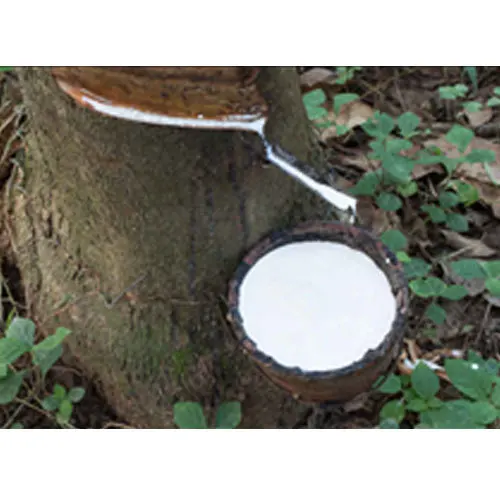 Natural Rubber Latex 60% Drc With High Low Ammonia For Sale - Buy ...