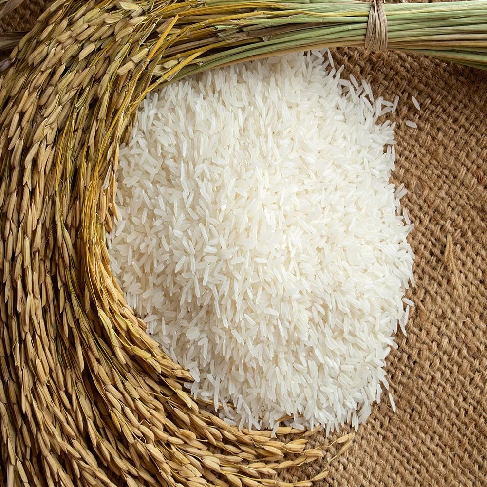 100% Thai Jasmine Rice,Hom Mali Rice 100% Long Grain Jasmine Rice From ...