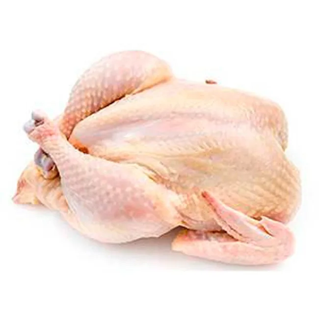 High Quality Fresh Or Frozen Meat Chicken - Buy Frozen Chicken Meat ...