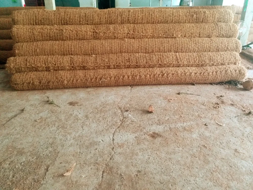 Erosion Control with BIO LOG - Planting SOPHIE by VIET DELTA