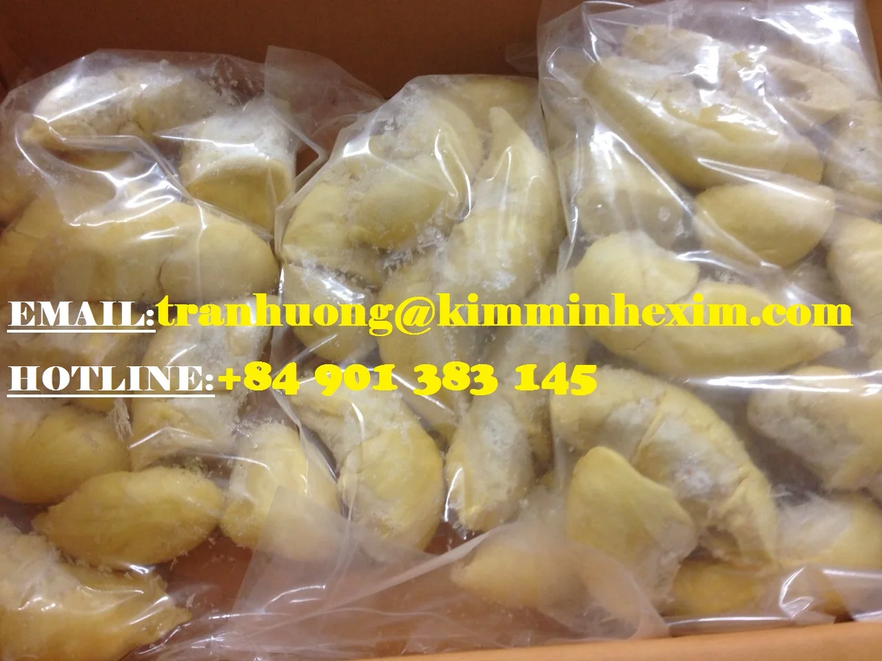 DURIAN FRUIT - Frozen Durian Paste & Pulp from Vietnam