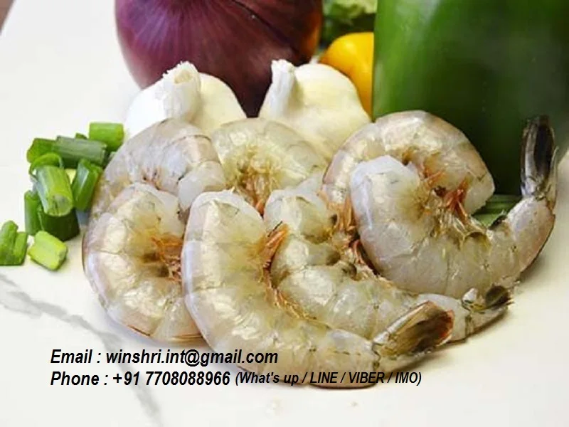 Iqf Raw Frozen Headless Shrimp From India - Buy Iqf Block Frozen ...