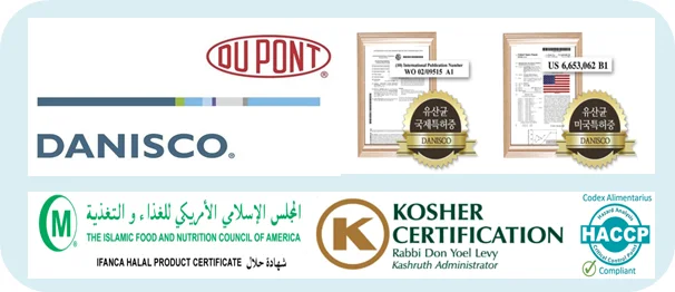 Nupharm Premium Lactobacillus Probiotics Chewable Tablet (cookie&cream ...