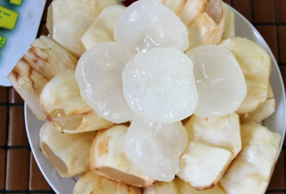 Palm Jelly/ Toddy Palm Pulp 100% Natural Made In Vietnam/whatsapp +84 ...