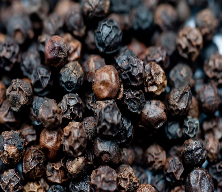 Vietnam Black Pepper Jumbo 5mm Bold Density 580gl Min 0084339966582 ...