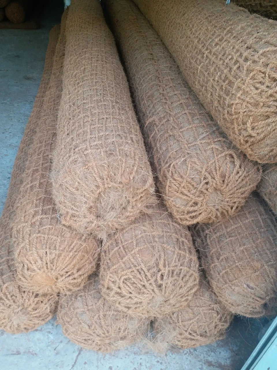 Erosion Control with BIO LOG - Planting SOPHIE by VIET DELTA