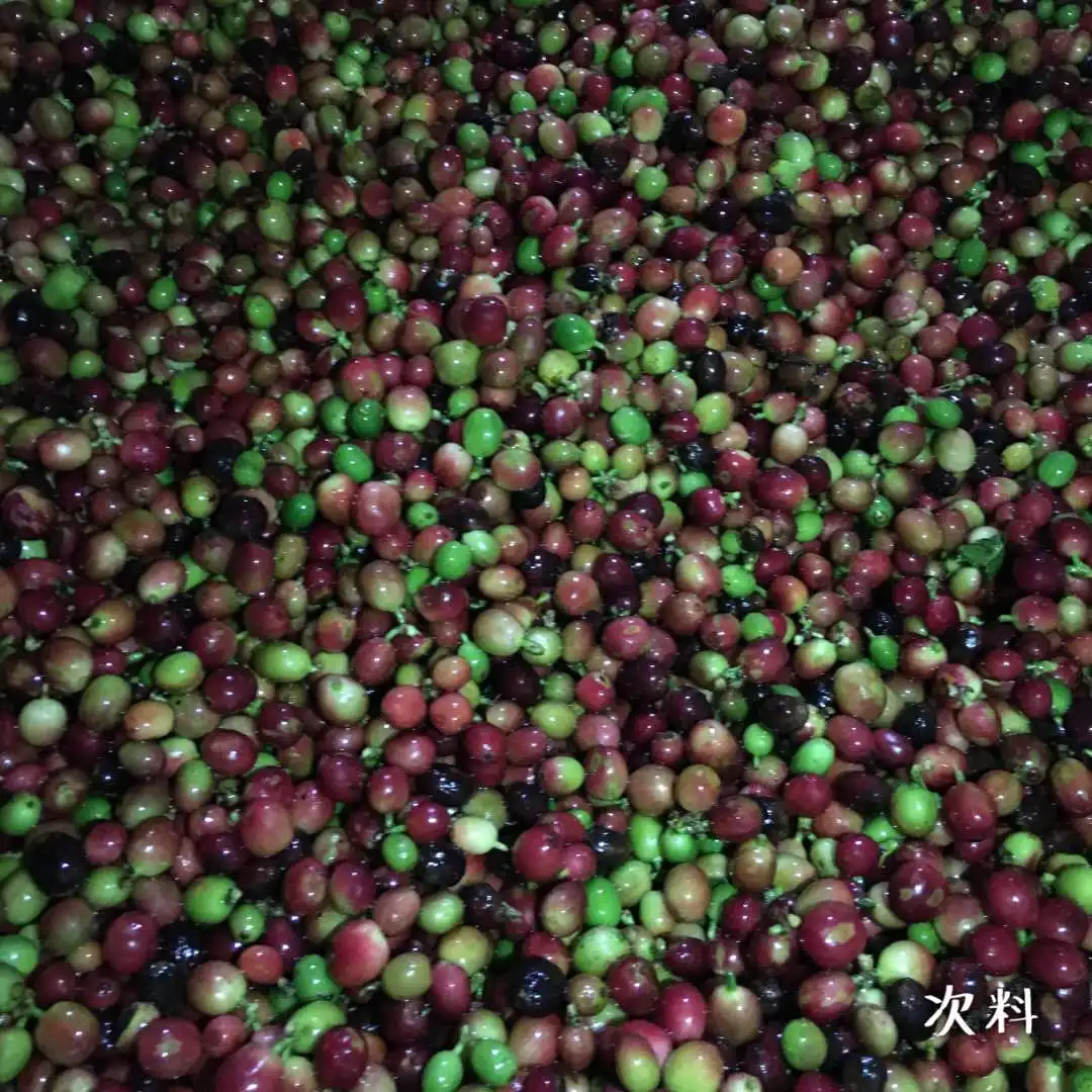 Coffee Cherry Color Sorting Machine/fresh Coffee Bean Color Sorting ...