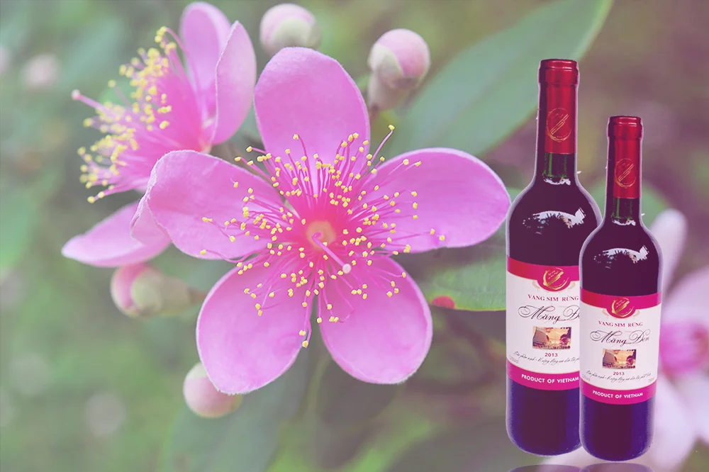 Sim Wine/ Rose Myrtle Wine Whatsapp +0084 845639639 - Buy ...