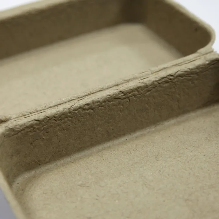 Eco-friendly Sugar Cane Pulp Boxes - Biodegradable Packaging