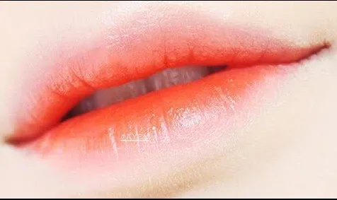 Gac Fruit / Natural Dark Red Gac Fruit Oil Sophie - Buy Red Gac Fruit ...