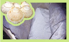 Calcined Powder / Scallop Powder By Viet Nam/ May - Buy Seashell Powder ...